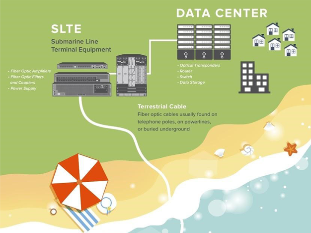 Infographics -备用网址 Carritech Telecommunications - b0b体育下载
